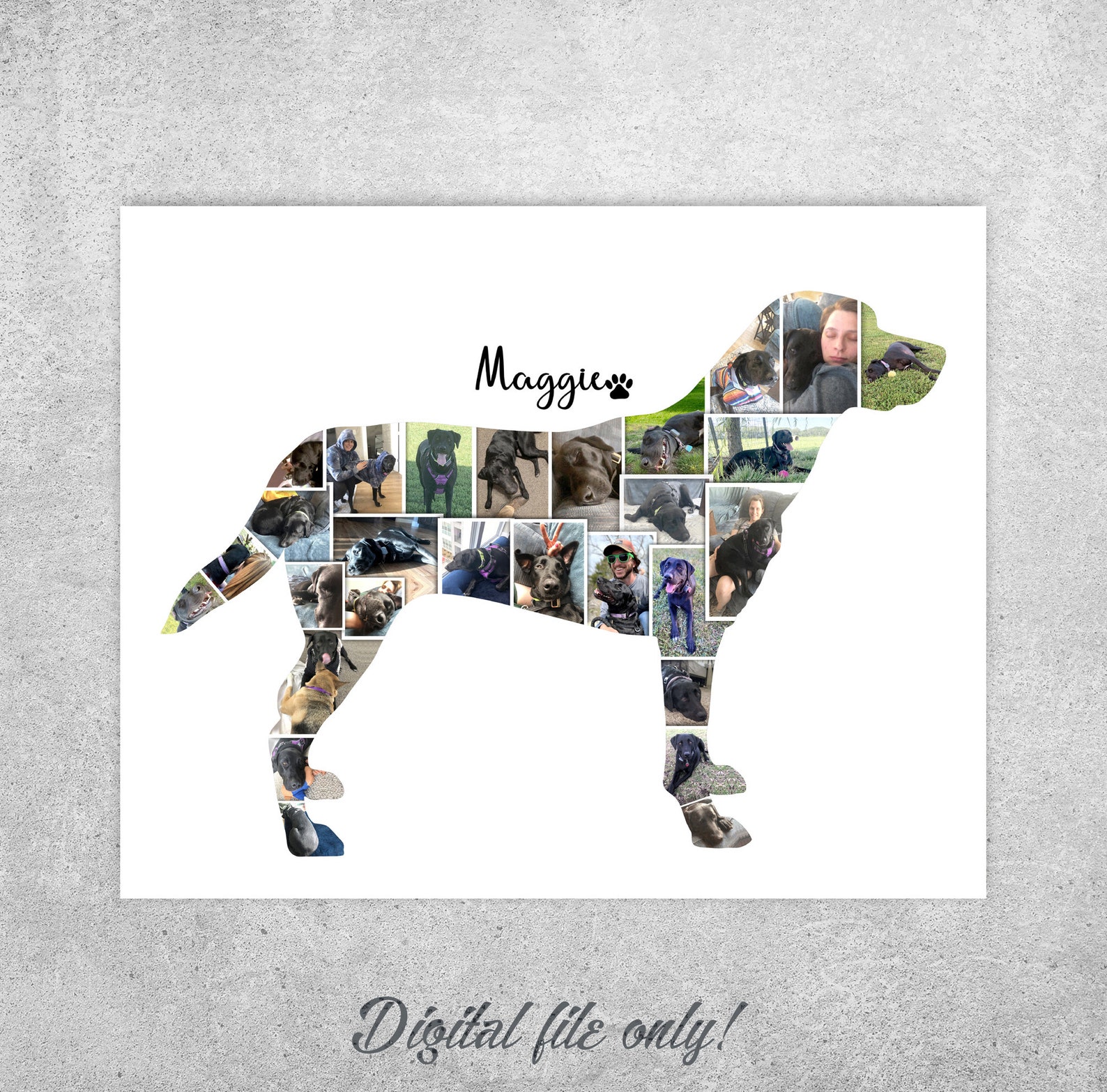 Custom Silhouette Dog Photo Collage With Custom Dog Name - Etsy