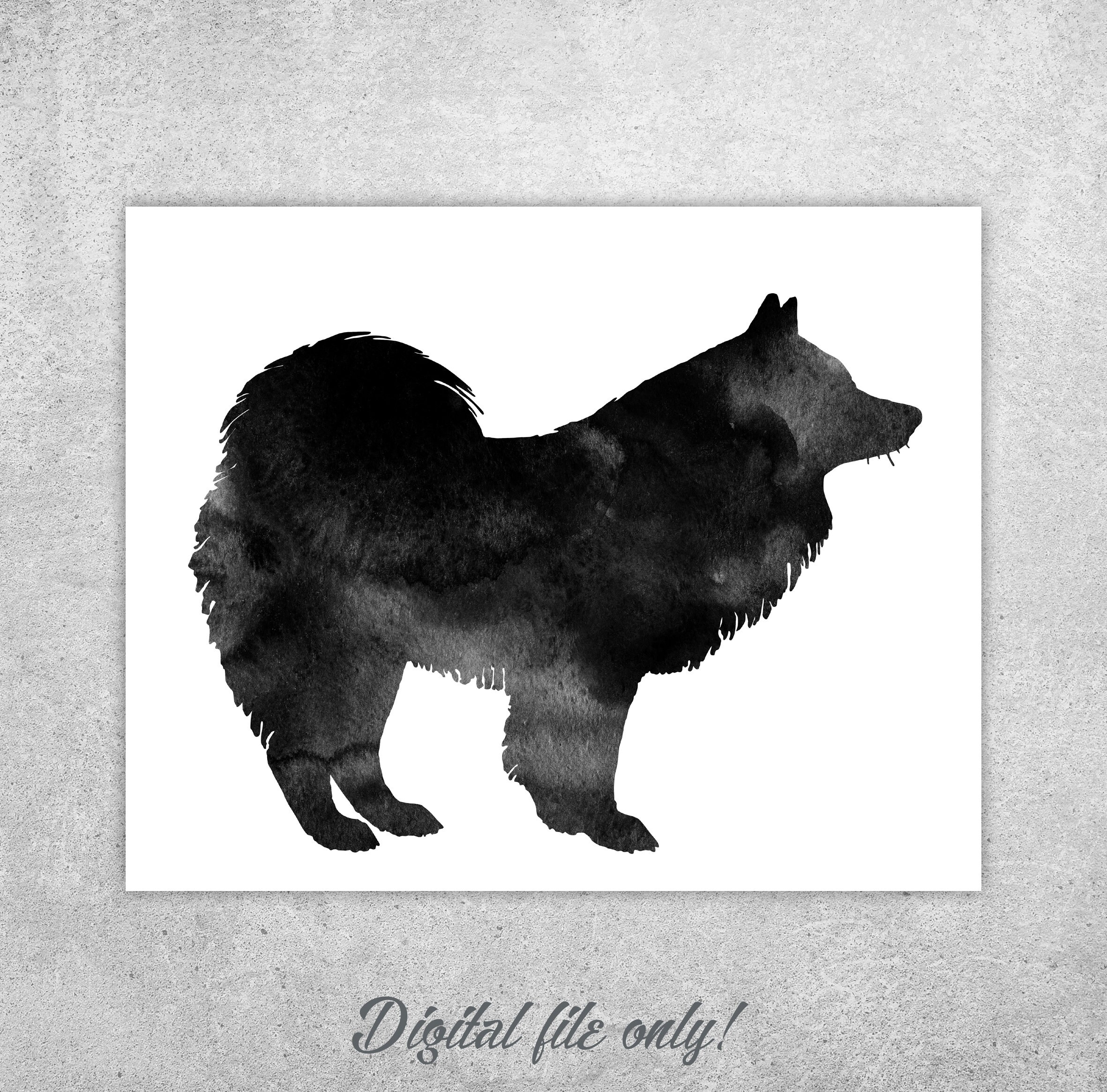 Black And White Samoyed