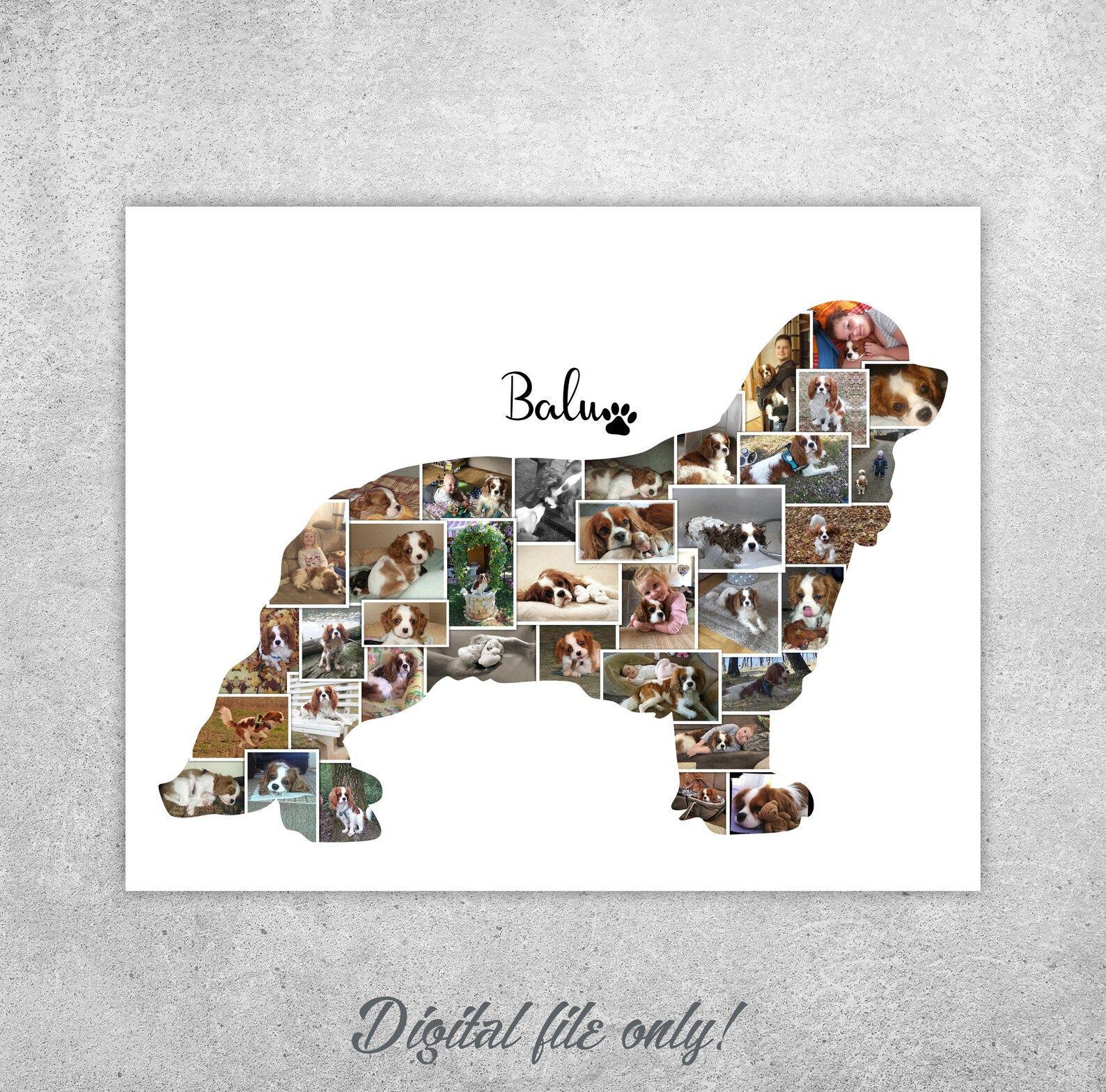 Custom Silhouette Dog Photo Collage With Custom Dog Name - Etsy