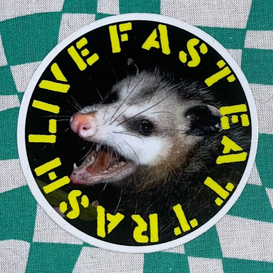 Live Fast Eat Trash Possum 3” Sticker - Etsy