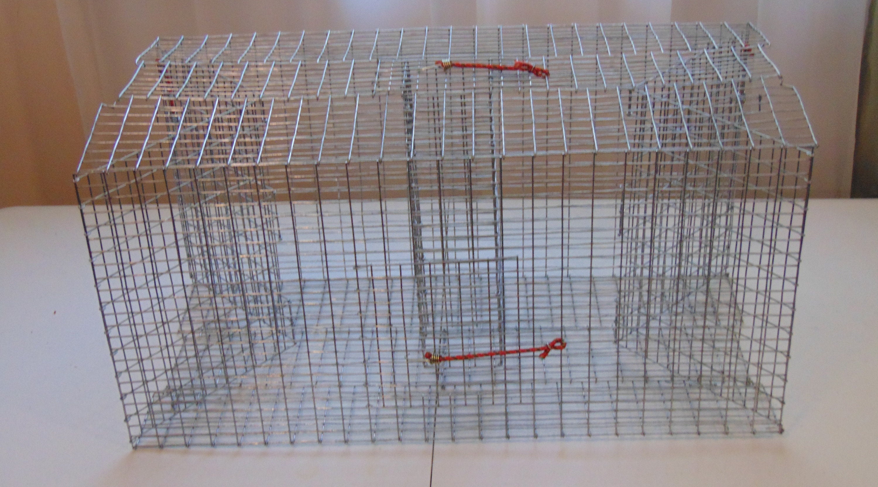 Colapsible Quail Trap