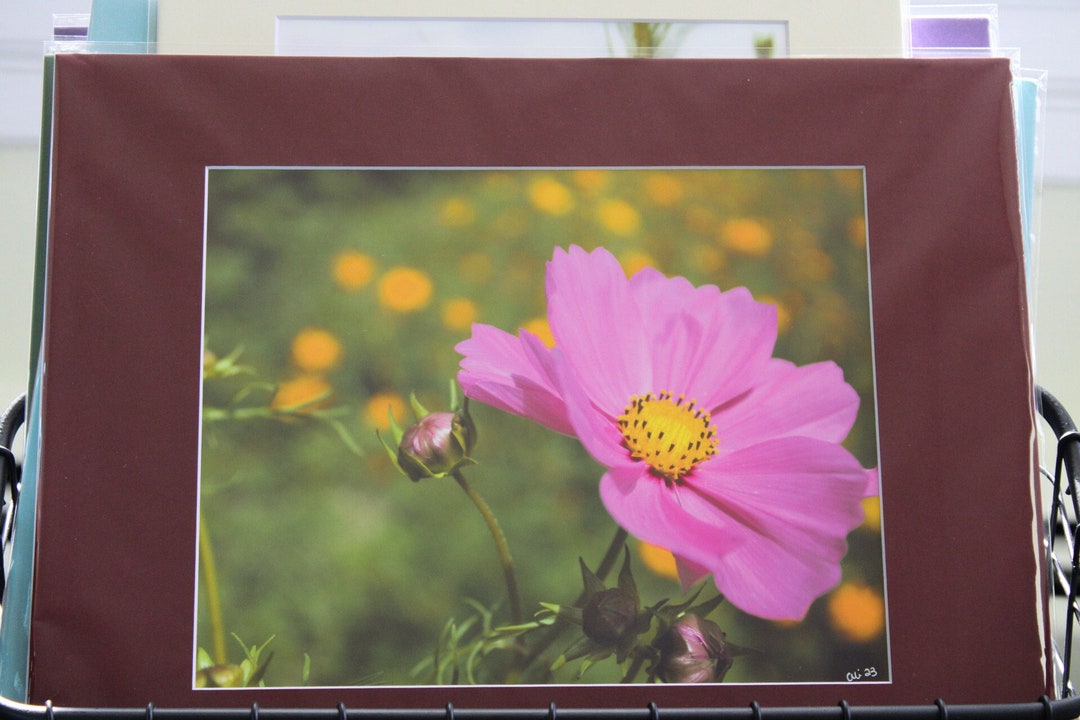 Floral Photography Prints - Etsy