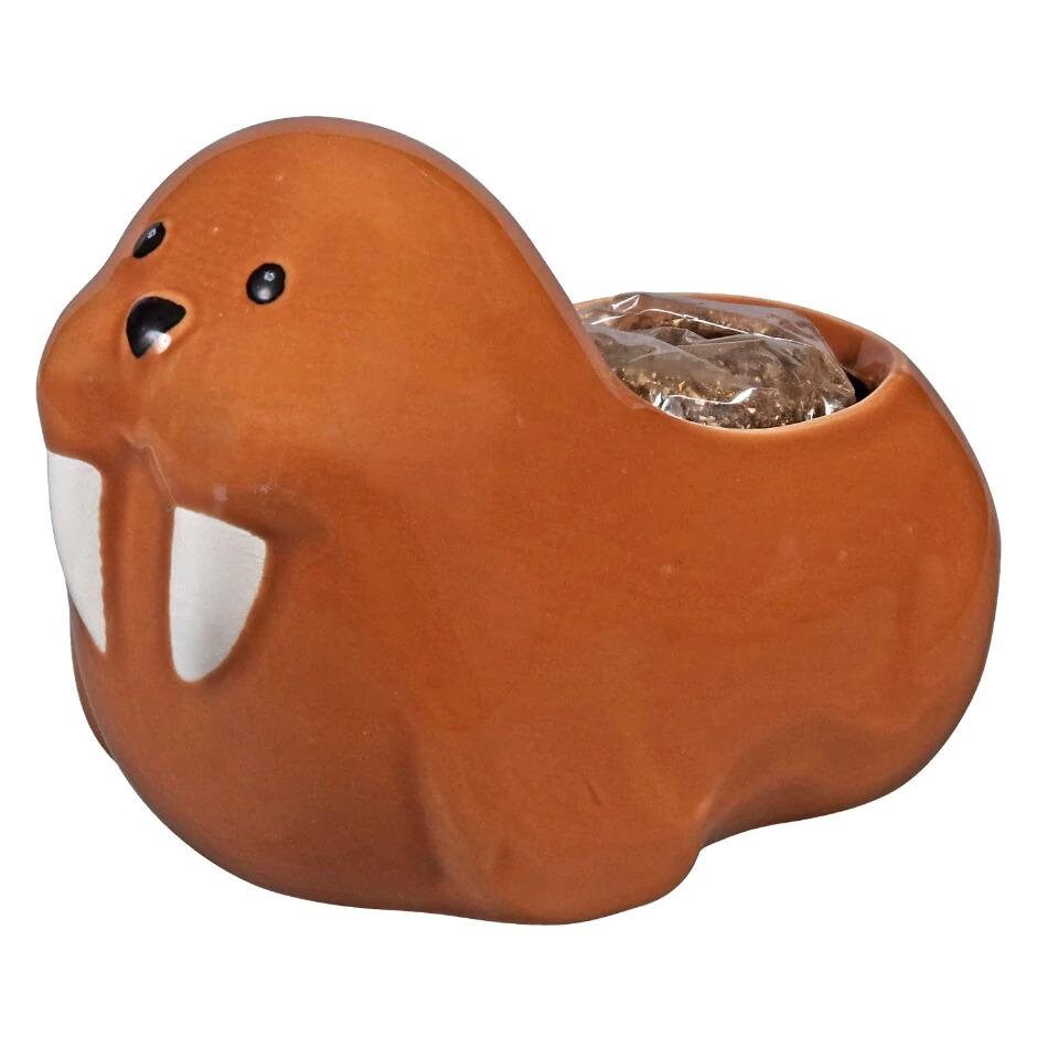 Cute Ceramic Animal Planters Walrus Moose Penguin Polar | Etsy