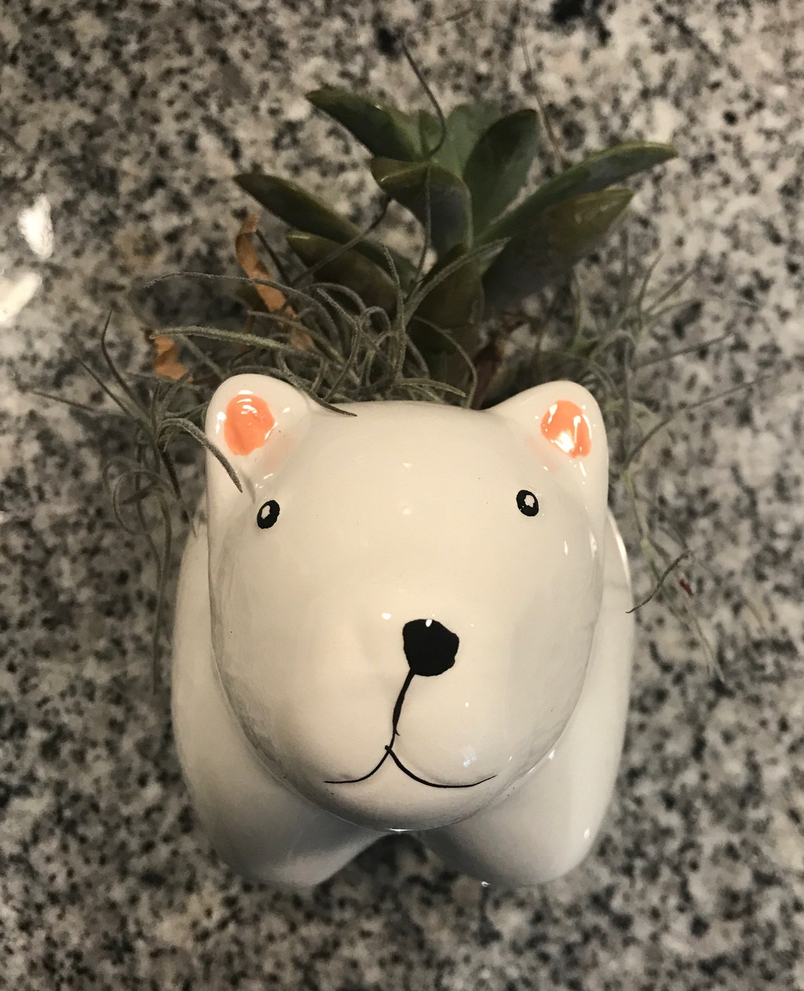 Cute Ceramic Animal Planters Walrus Moose Penguin Polar | Etsy