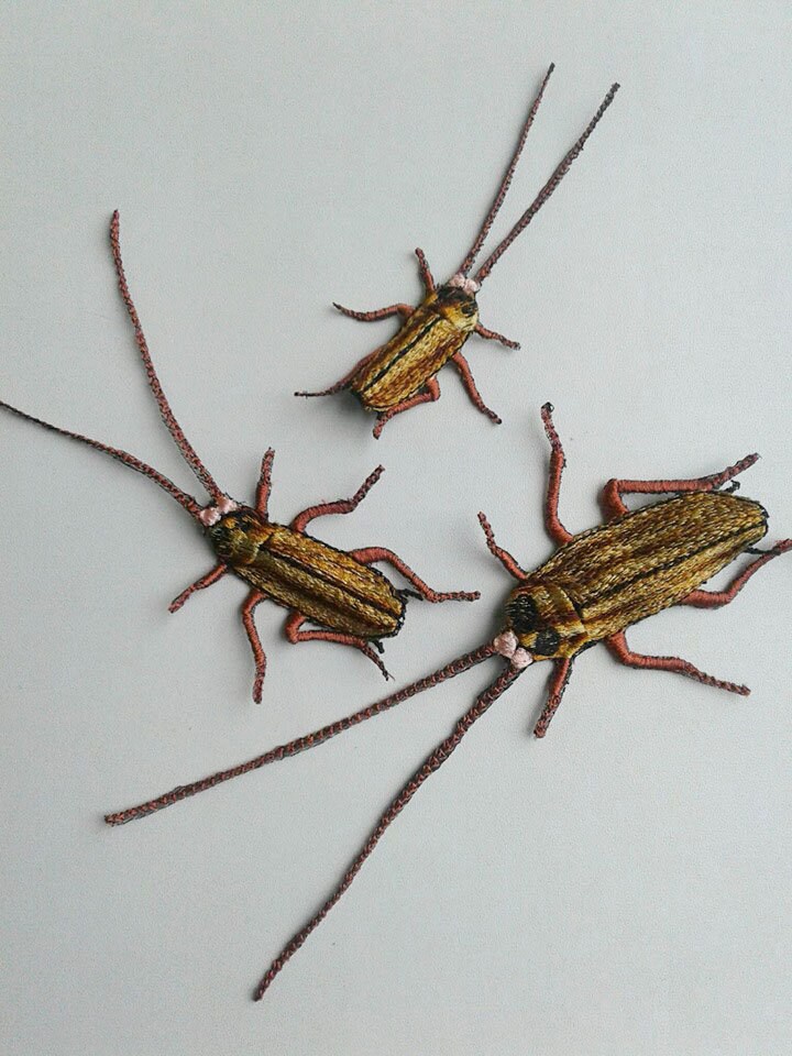 Moks118p Set 3 Pieces American Cockroaches Patch - Etsy