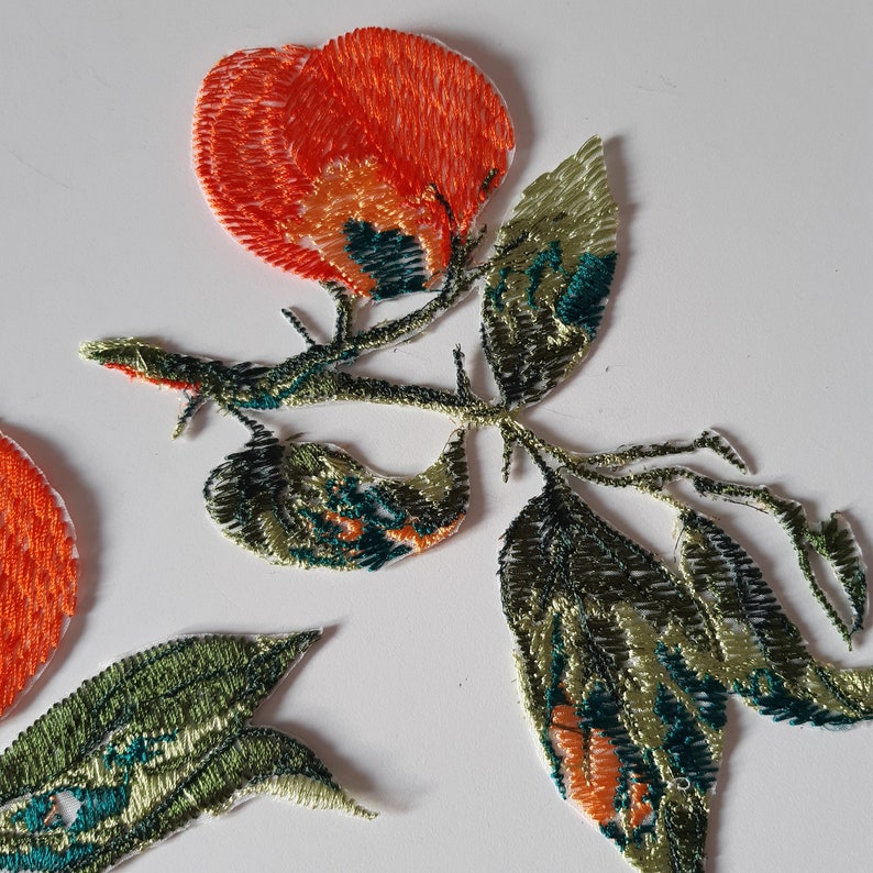 Moks417(p) Set Fruit Orange Patch, Set Embroidered Patches, Vegetable ...