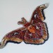 Moks220p Large Embroidered Patch Atlas Moth - Etsy