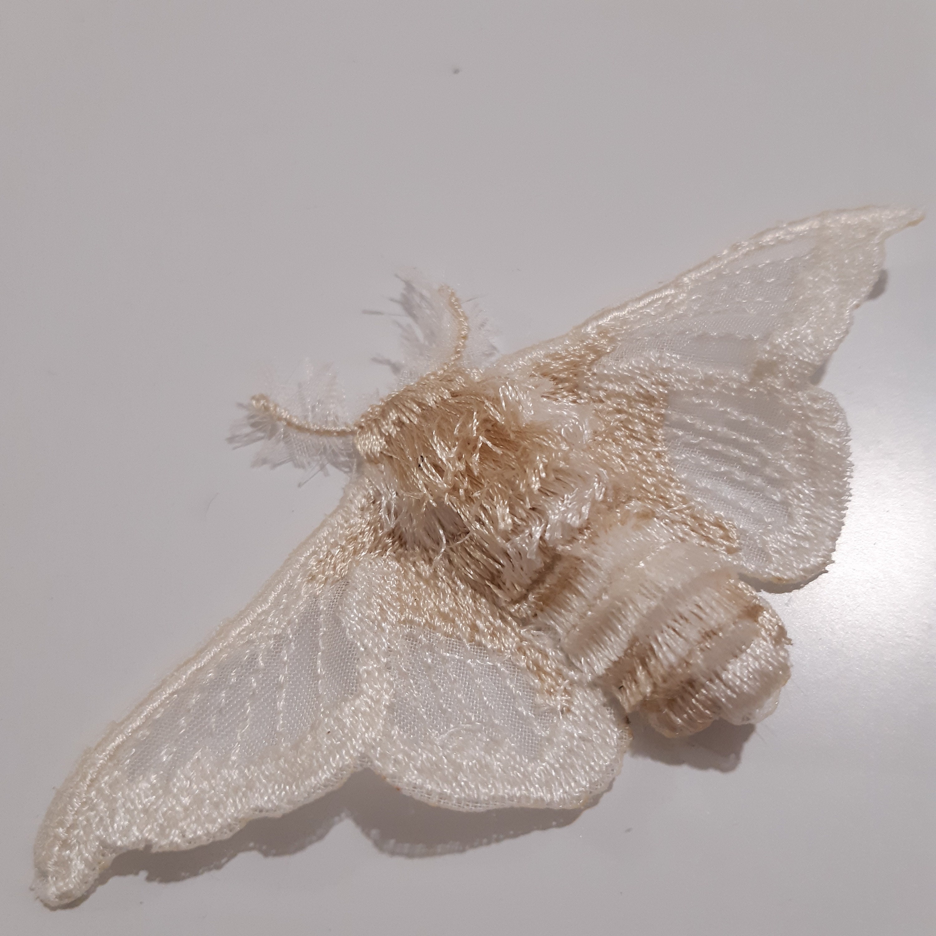 Moks413p Silk Moth Patch one Moth Silkworm Embroidery - Etsy UK