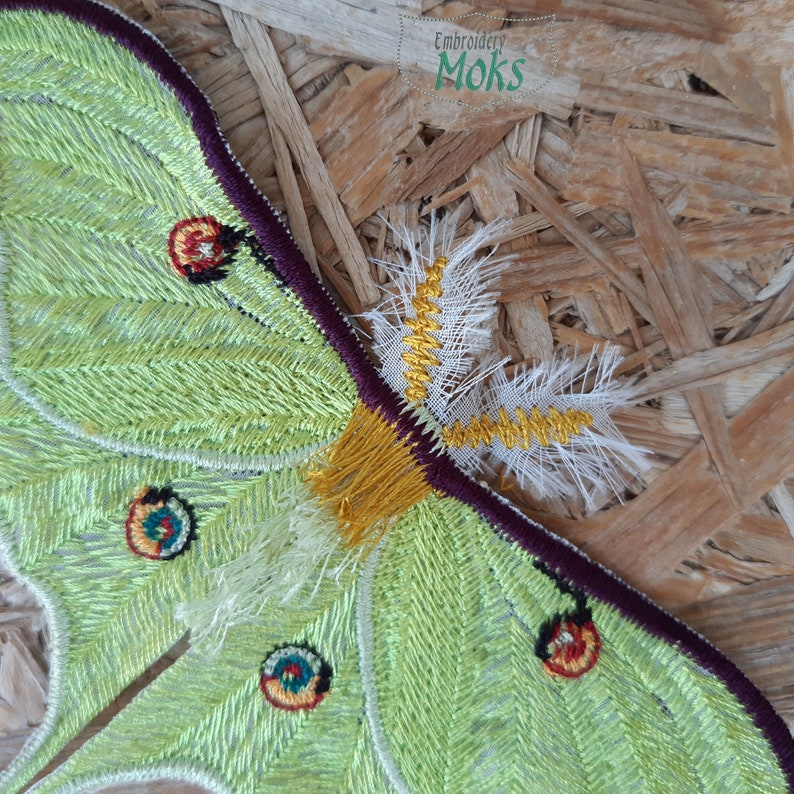 Moks373p Luna Moth Embroidery Patch Insect Entomology | Etsy