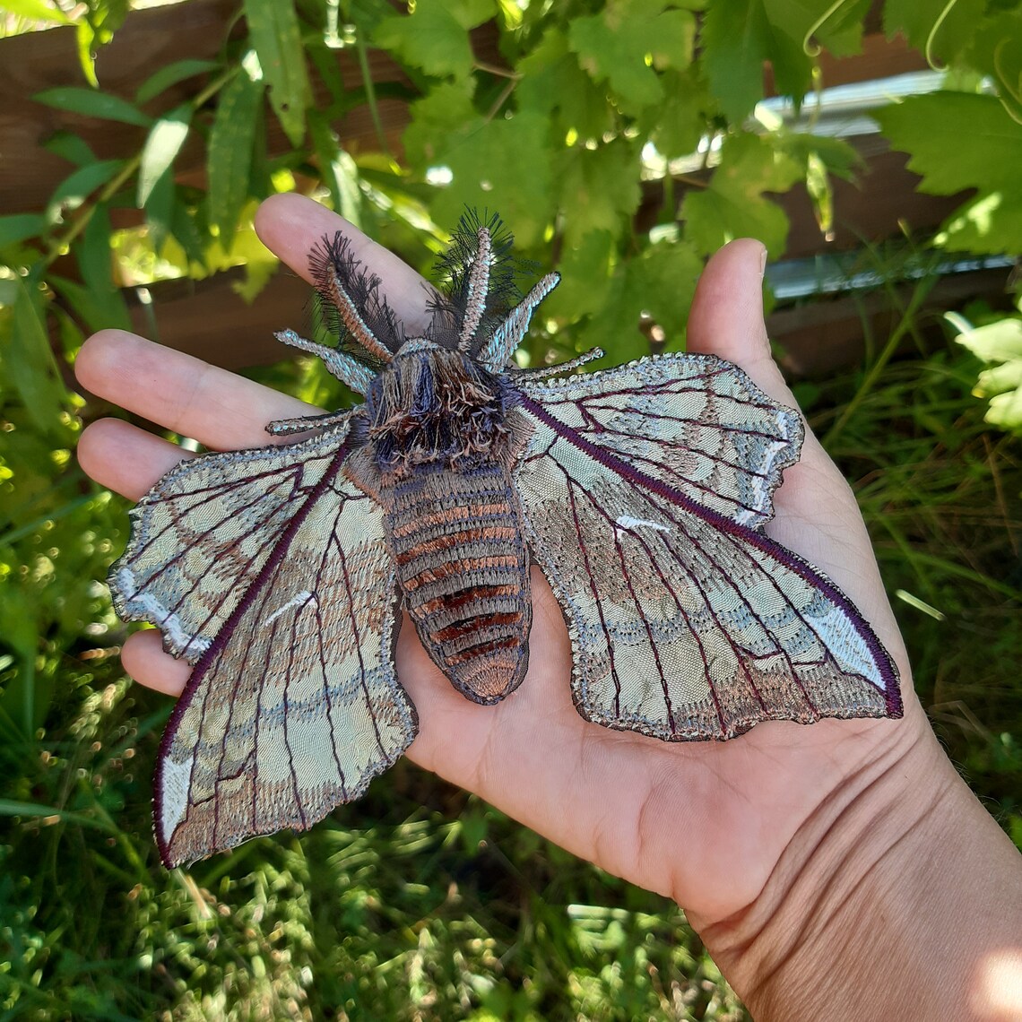 Moks518 Gray Hawk Moth Poplar Hawk Embroidered Patch | Etsy
