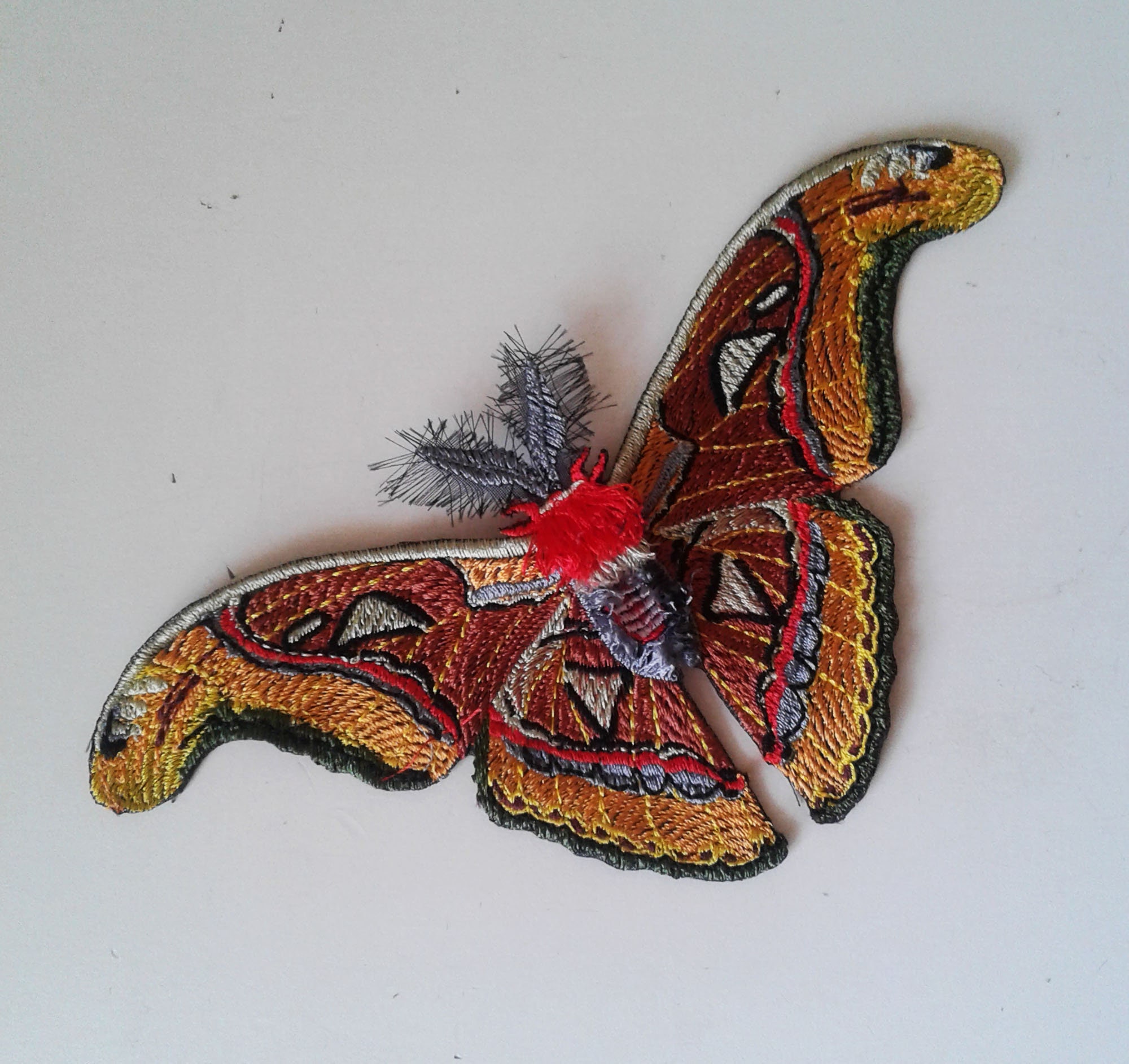 Moks218p atlas moth embroidered patch | Etsy