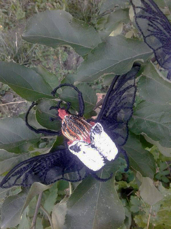 Moks62p Beetle Goliath Insect Embroidered Patch | Etsy