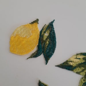Moks445(p) Lemon Patch - Fruit Embroidered Patch - Etsy