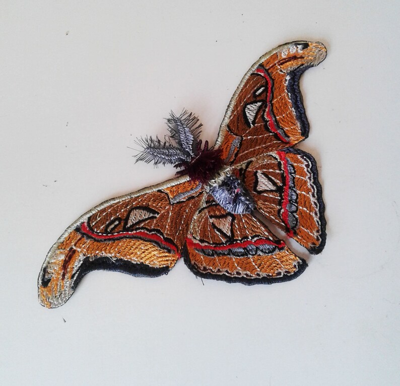 Moks219p Attacus Atlas Moth Patch Insect Patch - Etsy