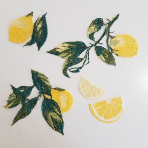 Moks445(p) Lemon Patch - Fruit Embroidered Patch - Etsy