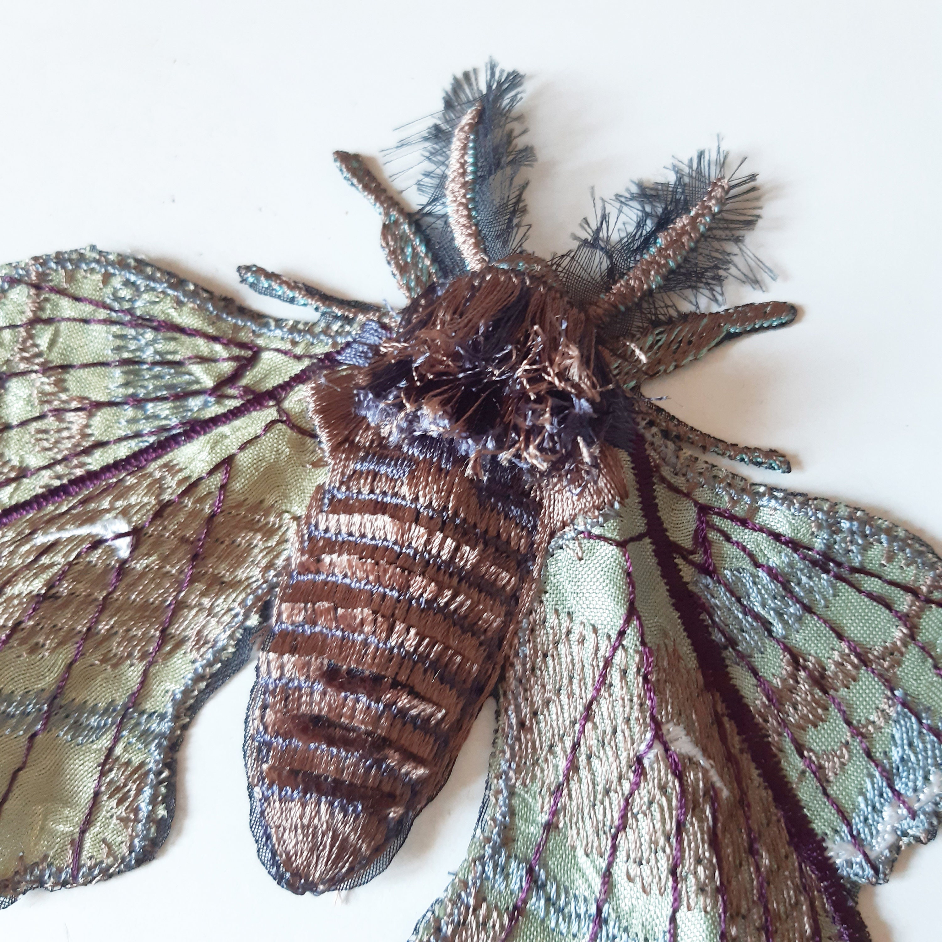 Moks518 Gray Hawk Moth Poplar Hawk Embroidered Patch - Etsy