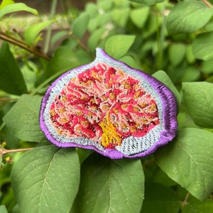 Moks638 Fig, Tropical Fruit, Subtropical Plant, Fig Tree Set 2pcs ...