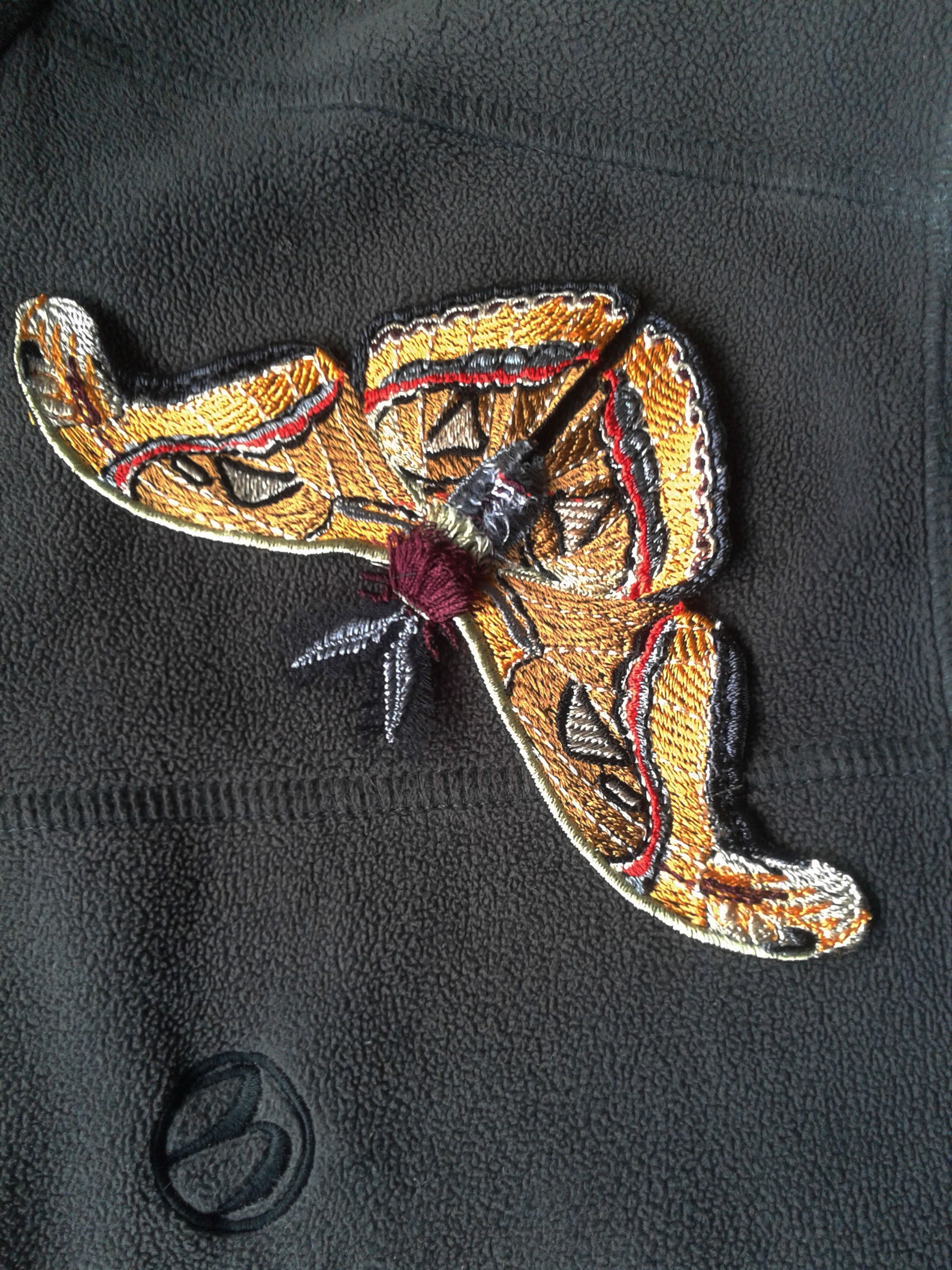 Moks219p Attacus Atlas Moth Patch Insect Patch - Etsy