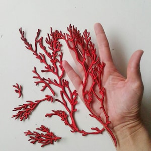 Moks156(p) Set of Red Coral Embroidered Patch - Etsy