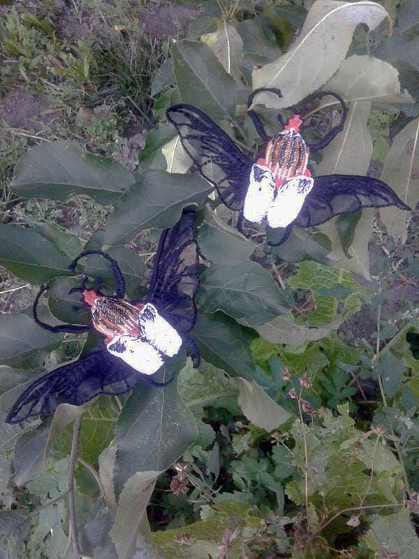 Moks62p Beetle Goliath Insect Embroidered Patch | Etsy