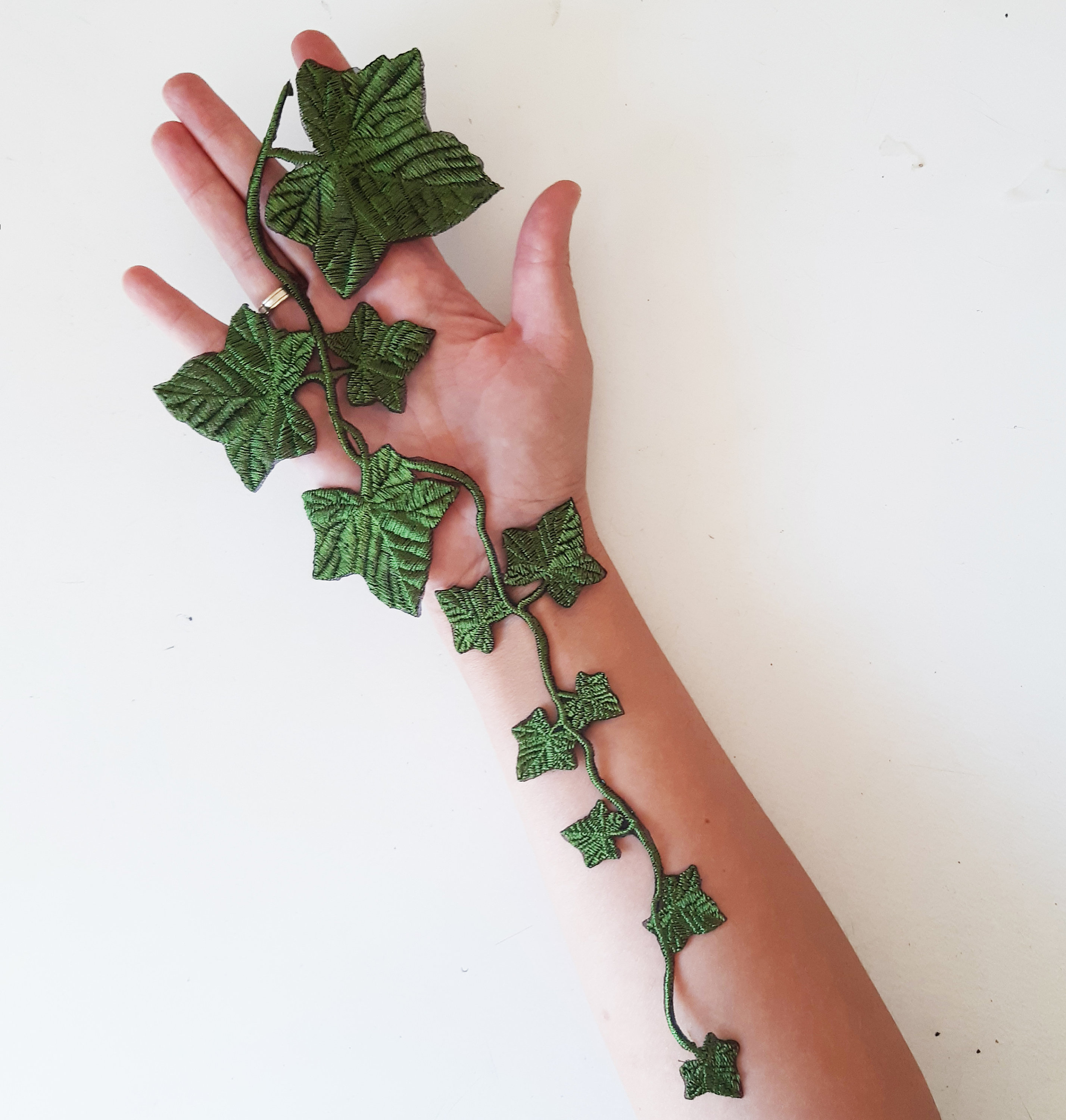 Moks541 English Ivy Embroidered Patch, Branch With Leaves - Etsy