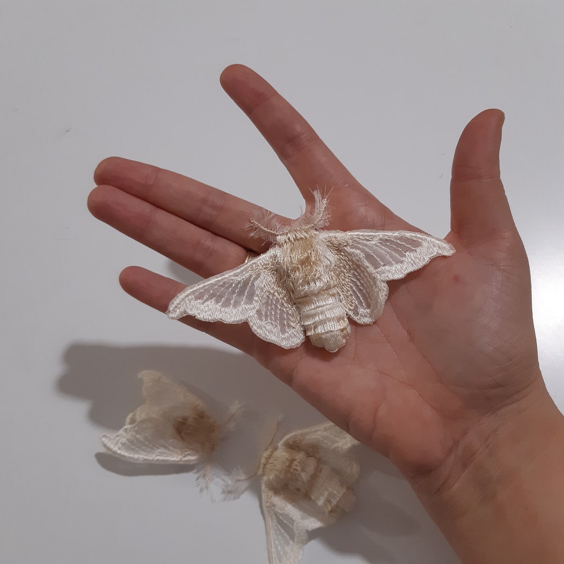 Moks413p parche de polilla de seda una polilla parche de - Etsy España