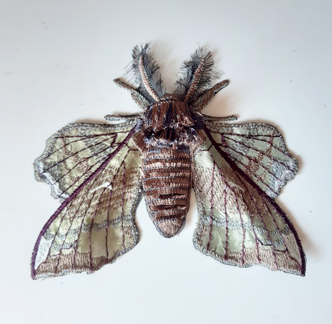 Moks518 Gray Hawk Moth, Poplar Hawk Embroidered Patch - Etsy