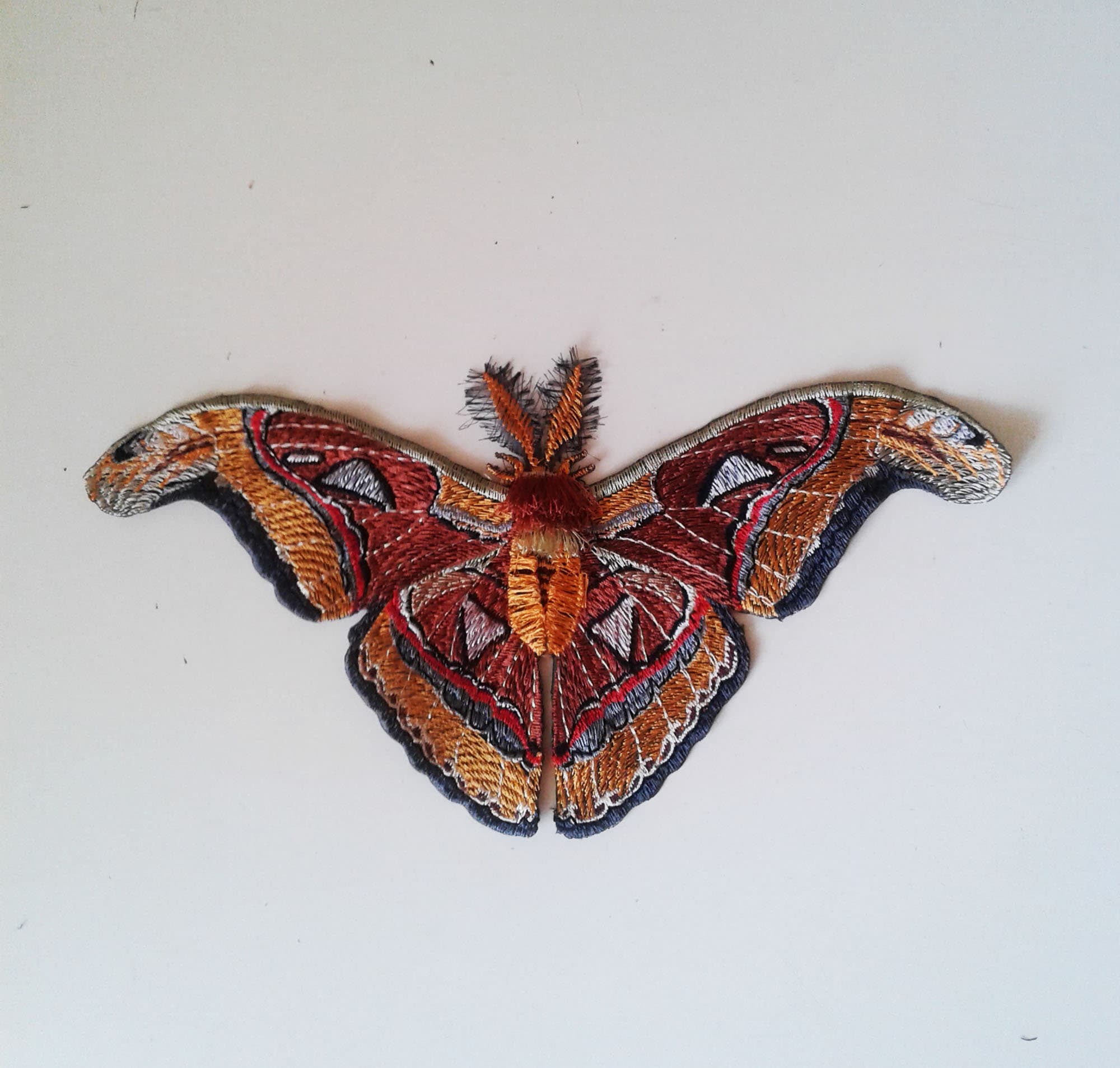 Moks220(p) Large Embroidered Patch - Atlas Moth - Etsy UK
