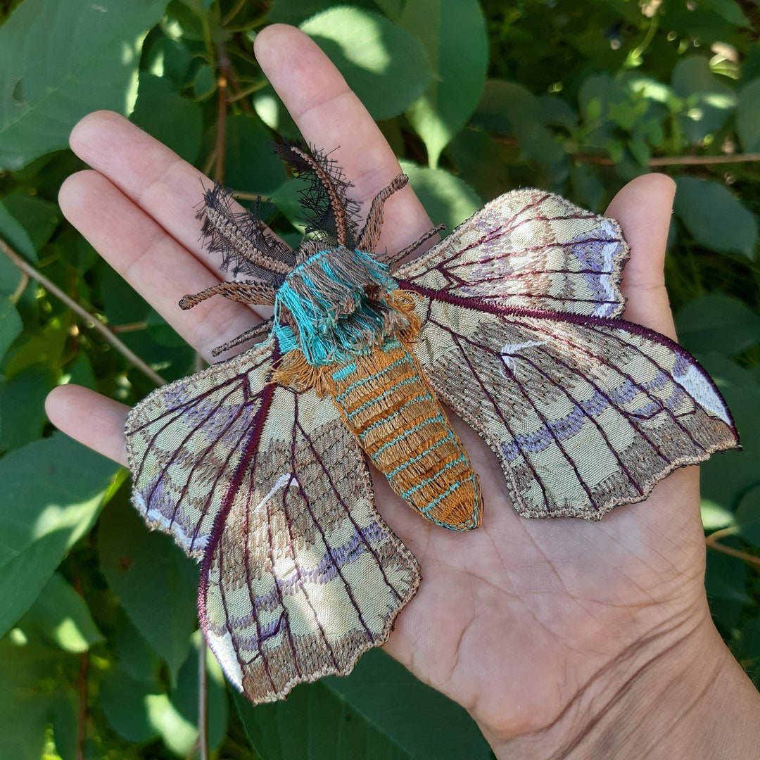 Moks517 Moth Large Patch, Poplar Hawk Realistic Sew on Patch - Etsy