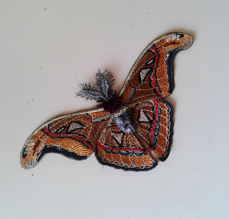 Moks219p Attacus Atlas Moth Patch Insect Patch - Etsy