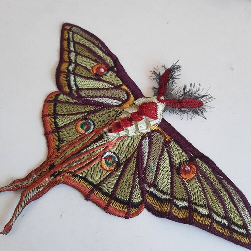 Moks371p Moth Embroidery Patch Spanish Moon Moth - Etsy