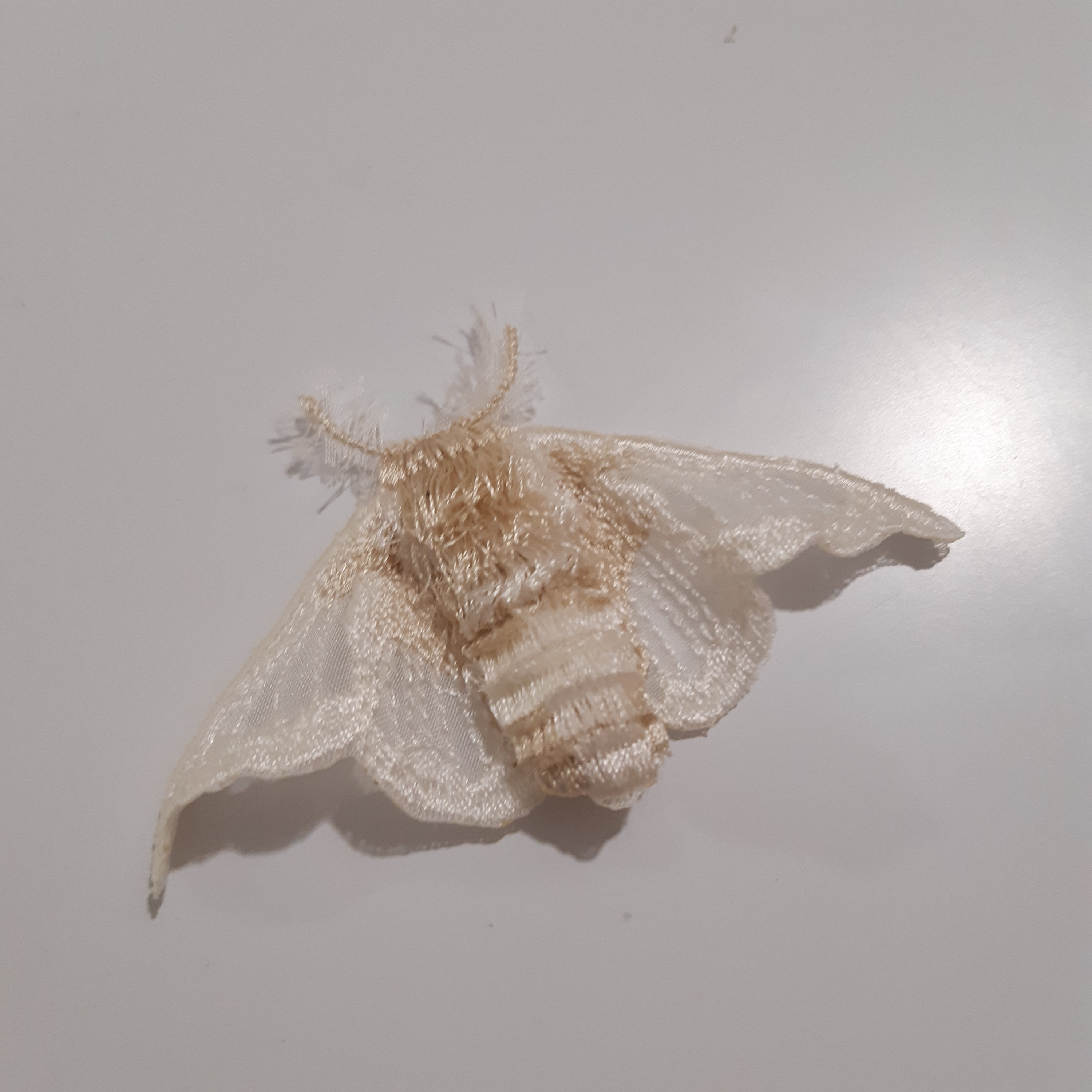 Moks413p Silk Moth Patch one Moth Silkworm Embroidery - Etsy UK