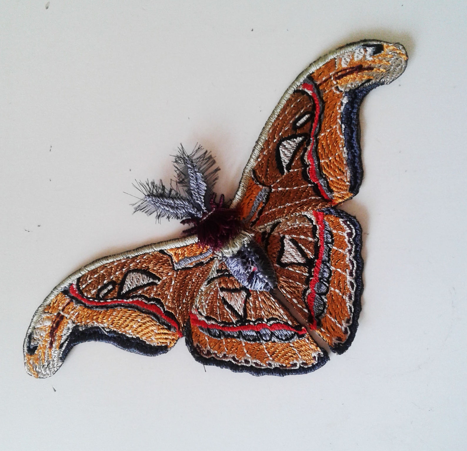 Moks219p Attacus Atlas Moth Patch Insect Patch - Etsy