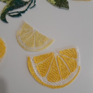 Moks445(p) Lemon Patch - Fruit Embroidered Patch - Etsy