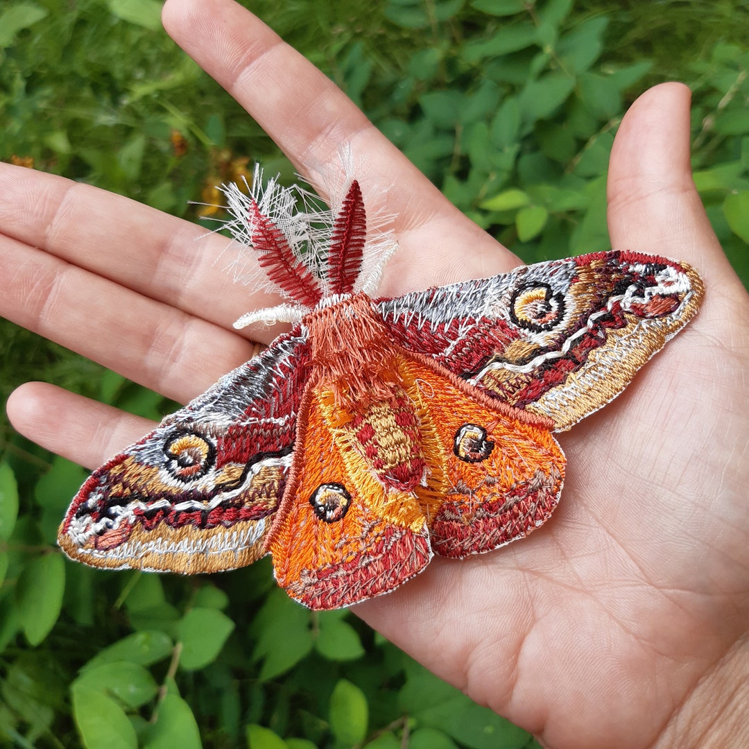 Moks(p)400 Designer Patch Moth Emperor Moth Saturnia Pavonia 3D Patch ...