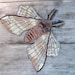 Moks518 Gray Hawk Moth, Poplar Hawk Embroidered Patch - Etsy