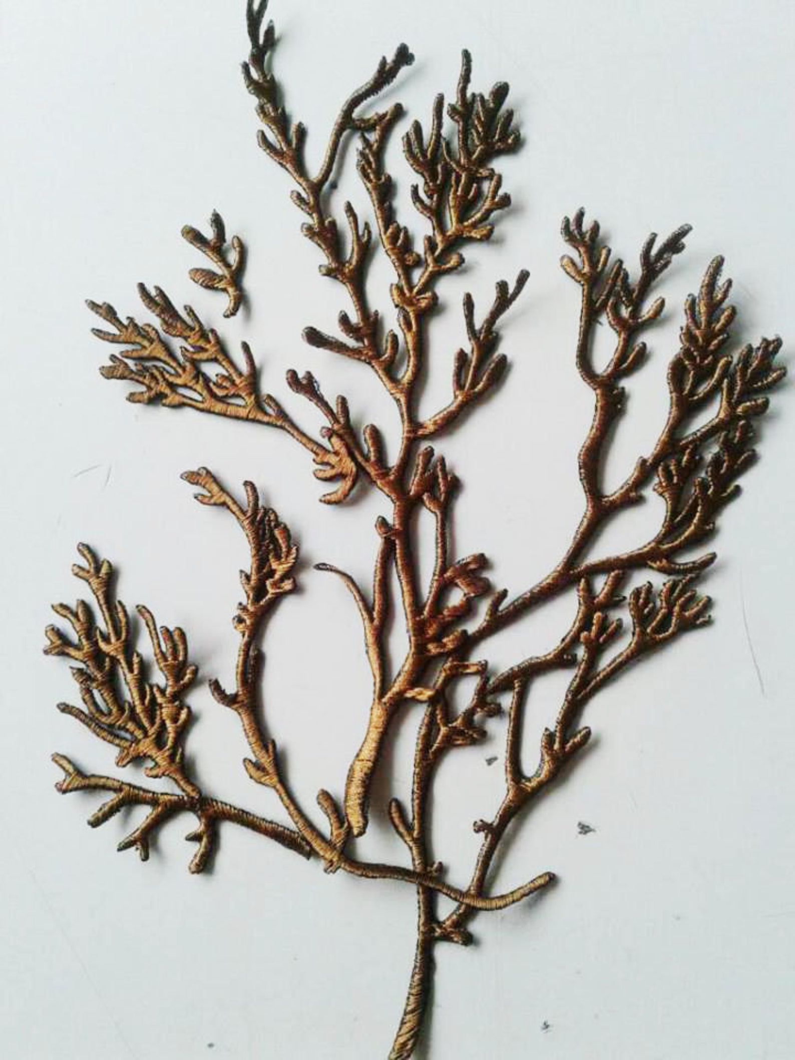 Moks158p Set Tree Branch Embroidered Patch - Etsy