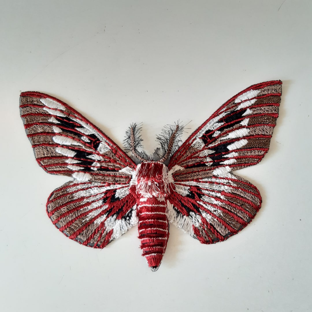 Moks449 Moth Patch, Insect Patch, Citheronia Regalis Saturn Moth ...