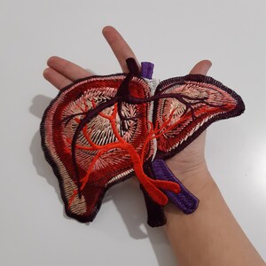 Moks427(p) Anatomical Liver Patch - Embroidered Patch - Etsy