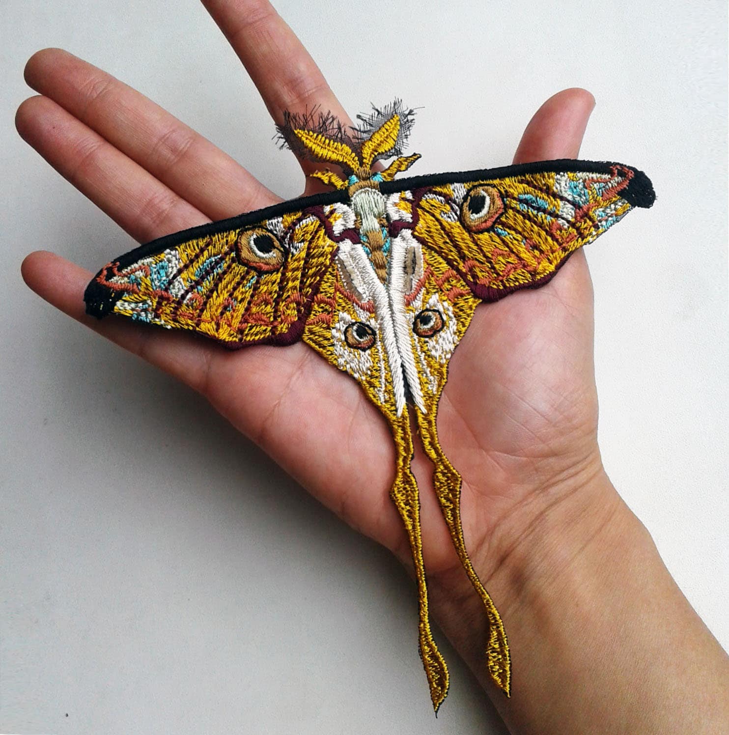 Moks132p Comet Moth Embroidered Patch Madagascan Moon Moth - Etsy