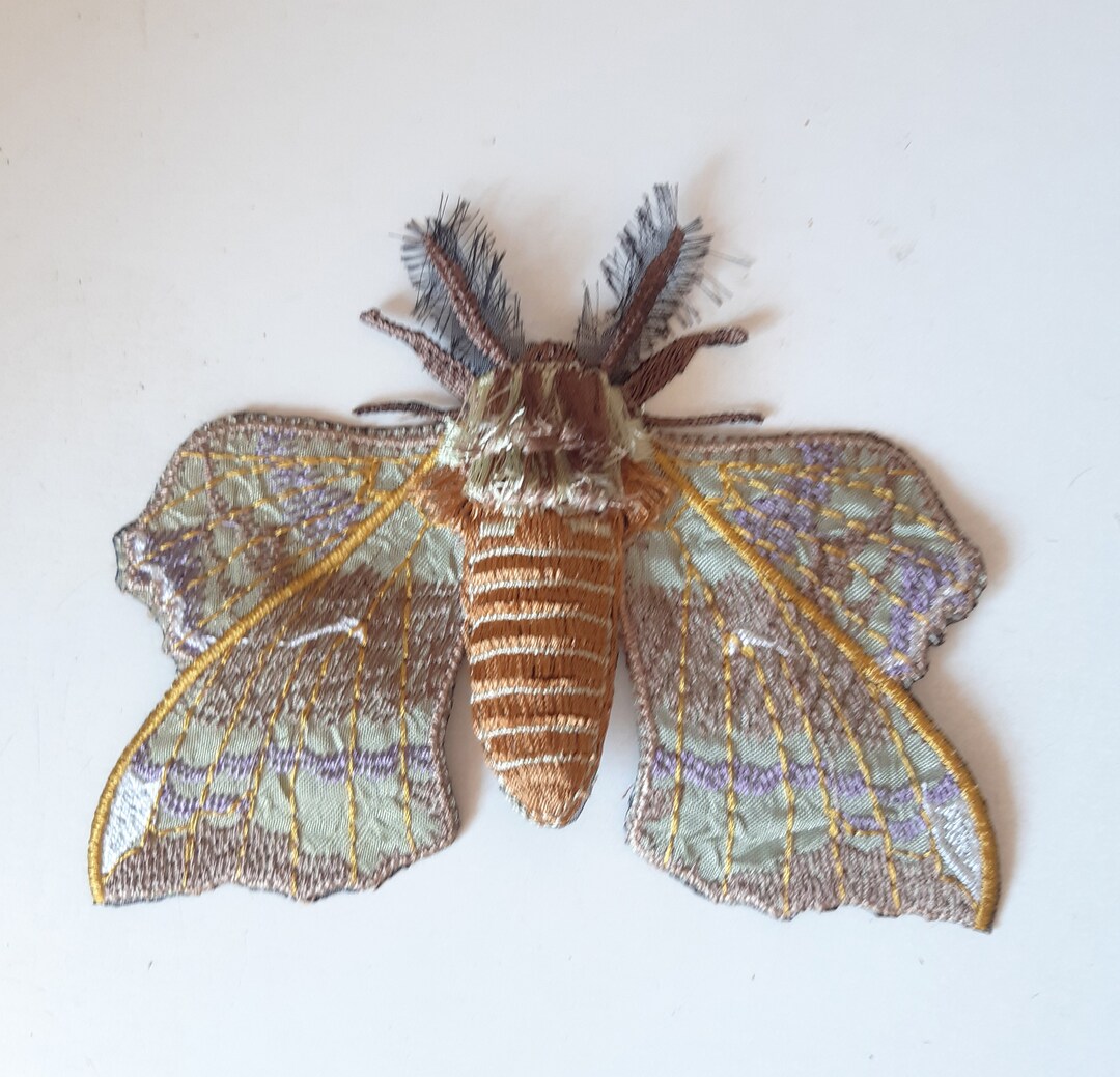 Moks516 Moth Patch, Insect Patch, Poplar Hawk Realistic Sew on Applique ...