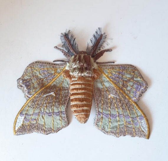 Moks516 Moth Patch Insect Patch Poplar Hawk Realistic Sew on - Etsy