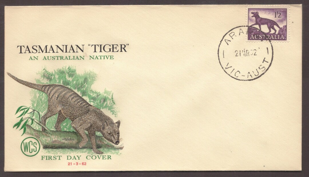 Tasmanian Tiger THYLACINE Extinct Australia Native Animal 1962 Vintage ...