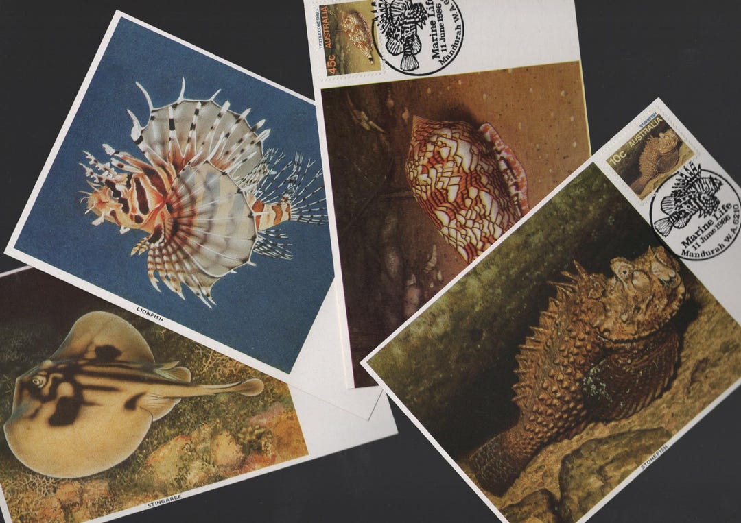 Australian MARINE Life 1986 Vintage Series 3 Stingray, Stonefish ...