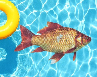 Underwater Pool Decals | Etsy