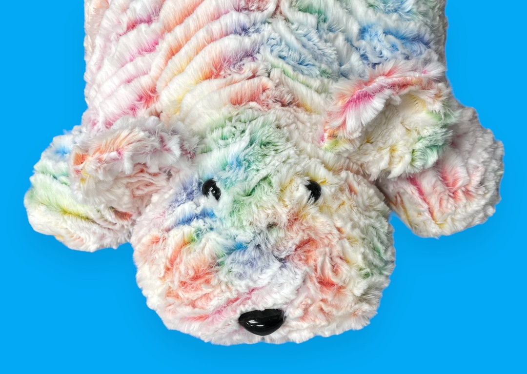 Weighted Sensory Pet Prism Vibrant Bear, Weighted Bear Plush, Special Needs, Autism, Alzheimers ...