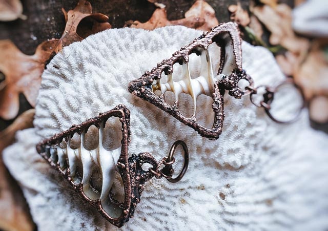 Sliced Trumpet Shell Ear Weights | Gauged Ears | Handmade Ear Hooks