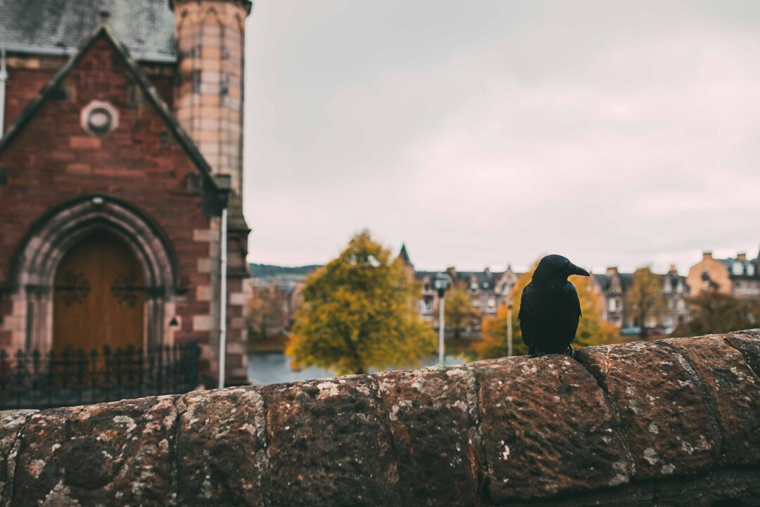 Crow, Scotland, Gothic, Inverness, Highlands, Photography, Print - Etsy