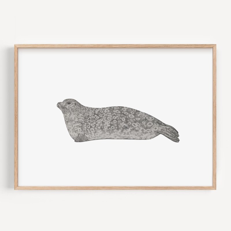Seal Art - Etsy