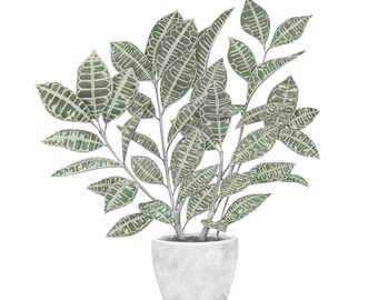 Plant pencil drawing | Etsy